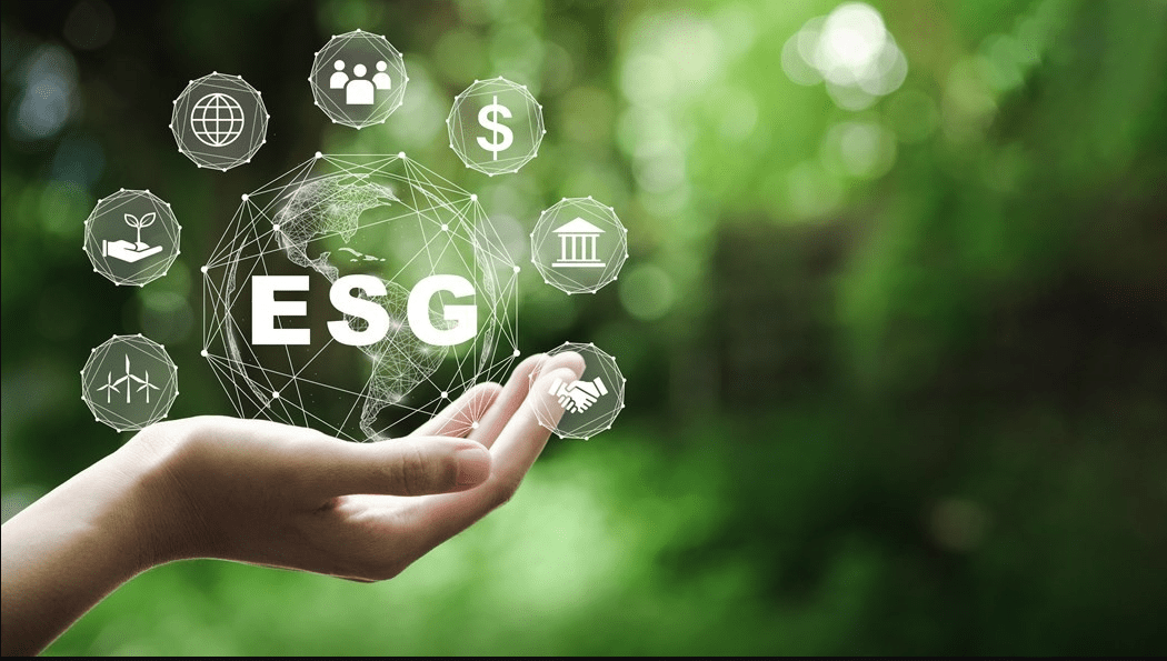 ESG Maturity Model: Making Progress on Your ESG Journey - Freedomization